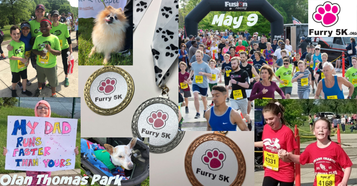 Coalition for Animal Rescue & Education | Do More 24 Delaware 2020